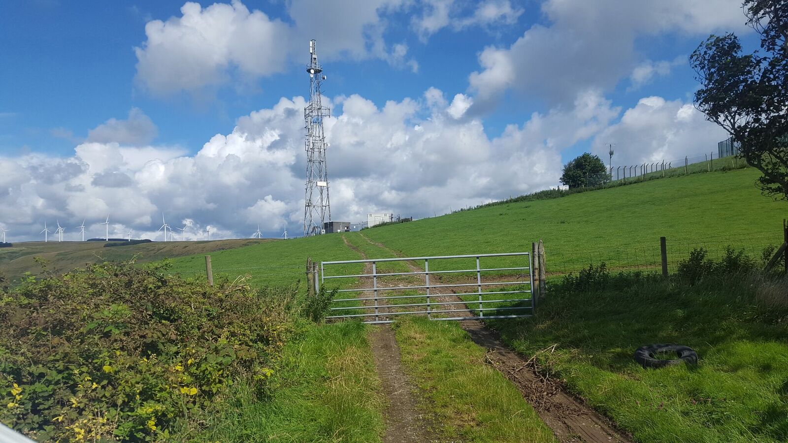 Overview of Telecom Support Structures | KA Engineering Group